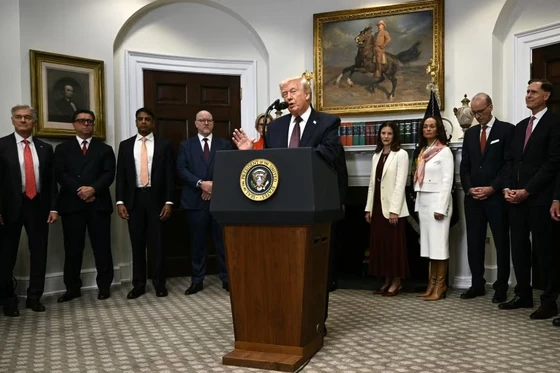 Michigan's shocking upset over Ohio State erupts into chaos as massive ...