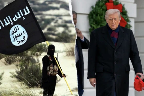 Michigan's shocking upset over Ohio State erupts into chaos as massive ...